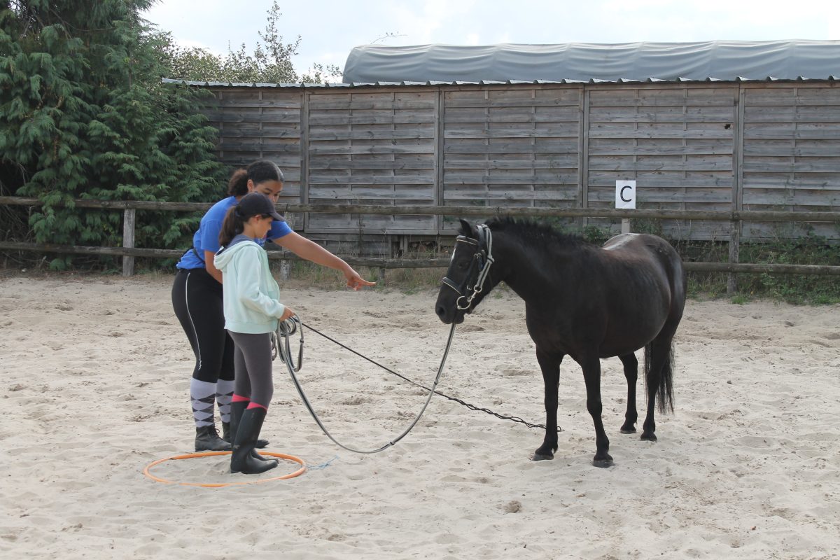 Classe pleine nature – Domaine de l'Espérance – Vacances à Cheval et à ...